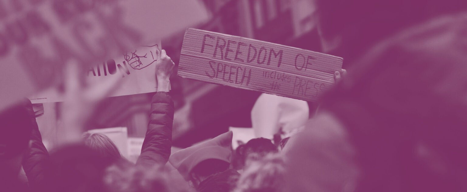 Politics of History and Freedom of Speech in Hungary - Historians ...